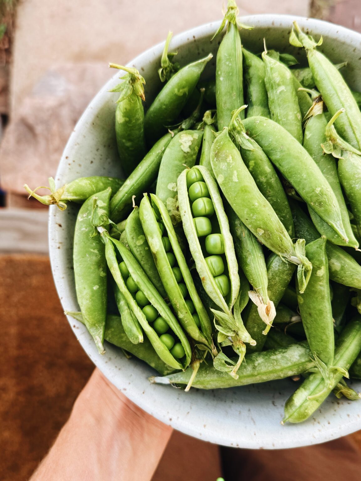 Sugar Snap Pea Pesto - Lentine Alexis