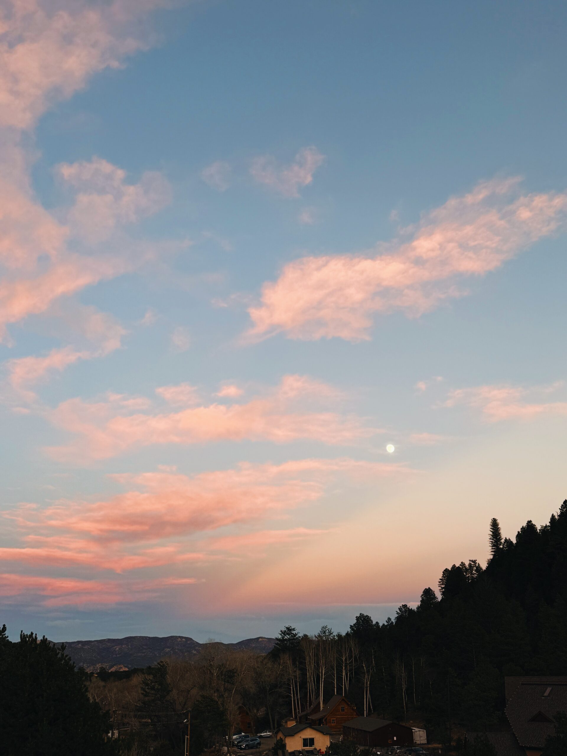 LOVE NOTE :: Curiosity Over Convenience - Lentine Alexis